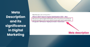 Meta Description and its Significance in Digital Marketing – INNOGENX